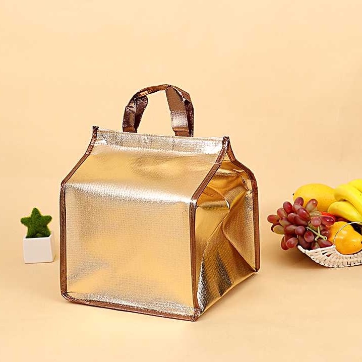 Jual Thermal Bag Tas Minuman Dingin Menjaga Suhu Dengan Alumunium Film ...