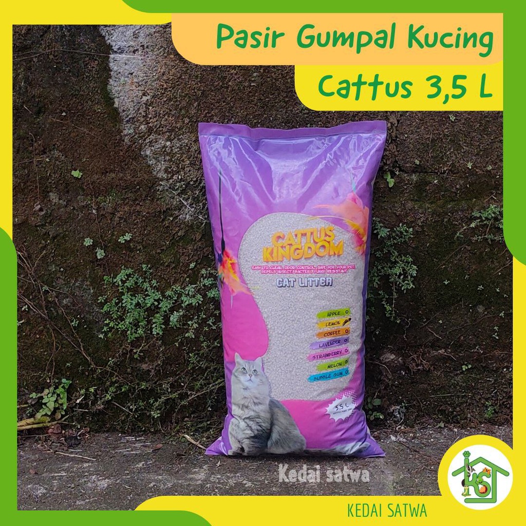Jual Pasir Gumpal Kucing Pasir Kucing Cattus 3,5 L 5,5 Litter Box Pasir ...