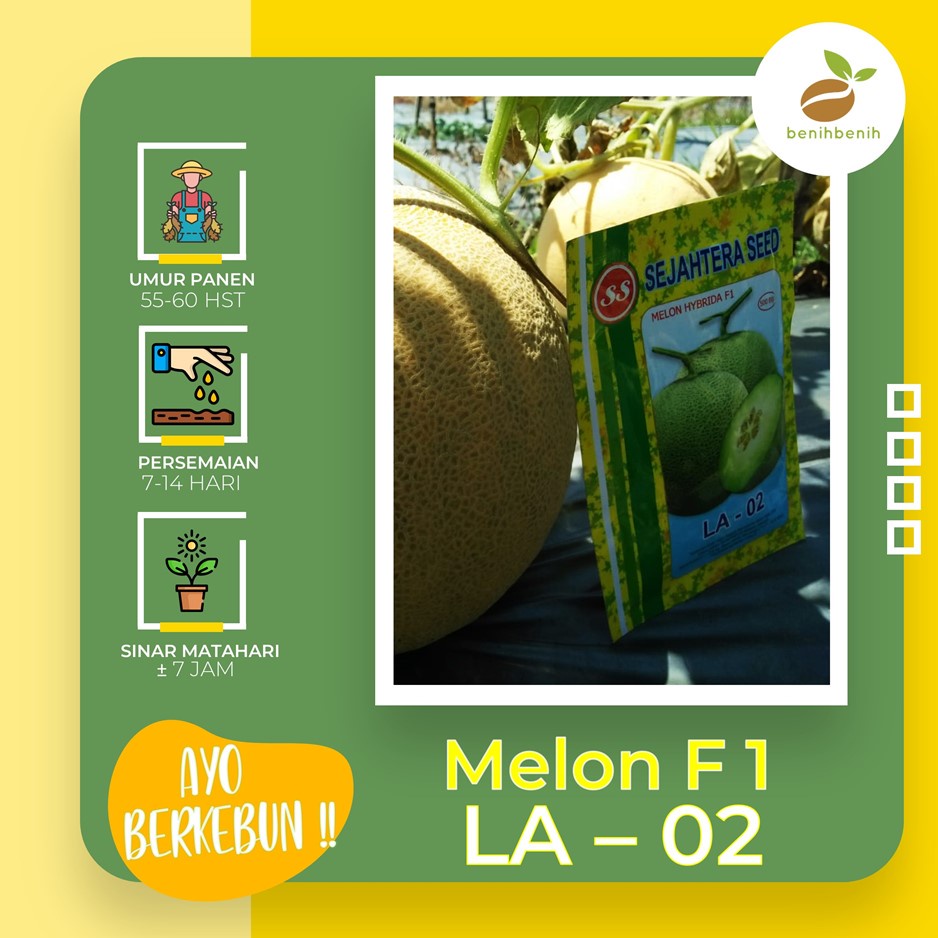 Jual Benih Melon Tahan Virus LA 02 F1 / Isi 550-560 Biji / Benih Melon Berkualitas Tinggi Tahan ...
