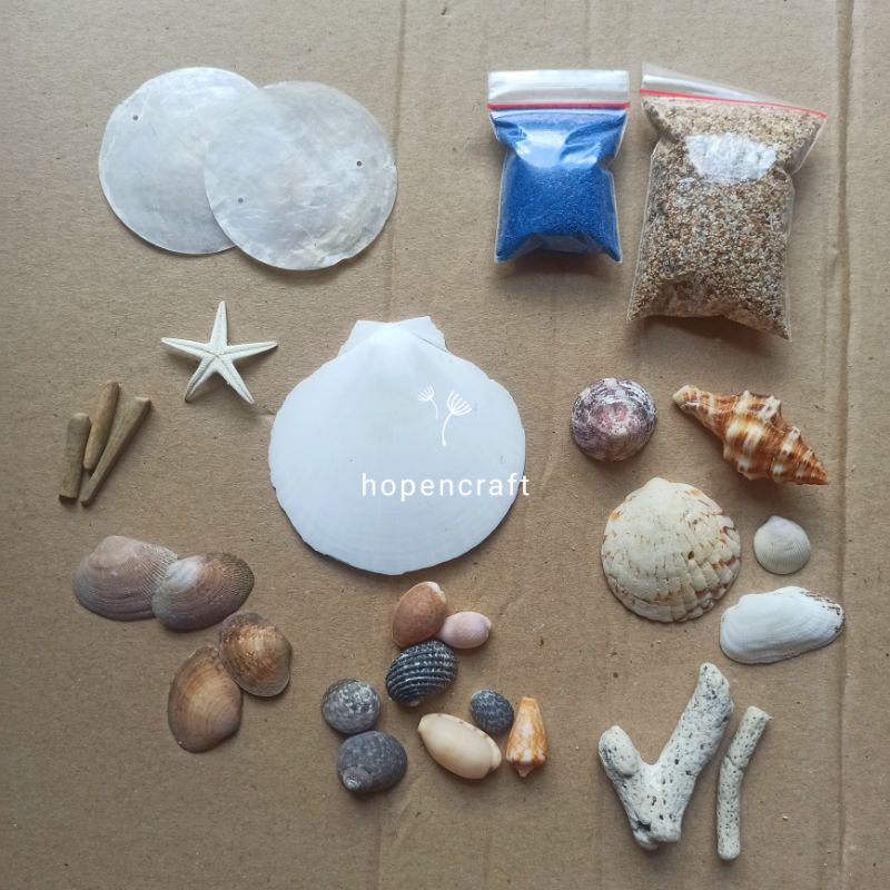 Jual Mix Kerang | Mix Cangkang Kerang | Bahan Kolase Cangkang Kerang ...