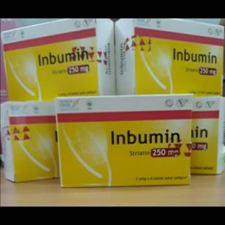 Jual Inbumin / ekstrak ikan gabus / channa / albumin / hipoalbumin ...