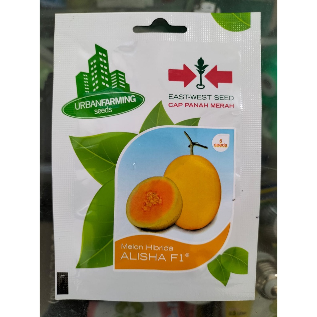 Jual Benih Bibit MELON HIBRIDA ALISHA F1 Cap Panah Merah - MELON ALISHA ... Jual Benih Bibit MELON HIBRIDA ALISHA F1 Cap Panah Merah - MELON ALISHA ...
