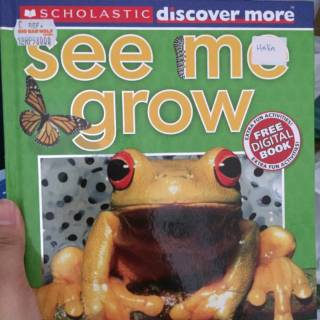 Jual See Me Grow | Shopee Indonesia