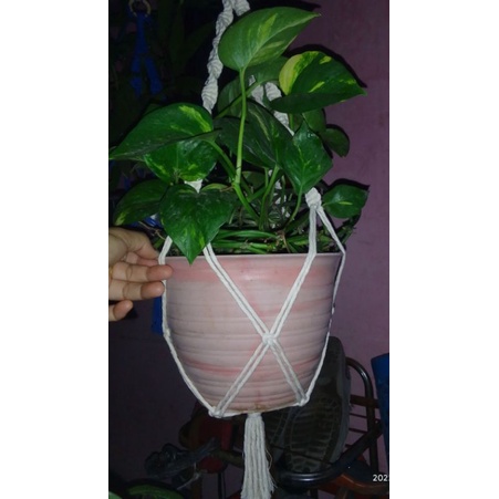 Jual gantungan pot bunga handmade/plant hanger/gantungan pot macrame ...