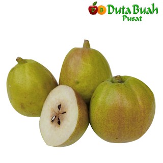 Jual DUTA BUAH Pear Xiang Lie Jumbo (0.3-0.4kg/3pcs) | Shopee Indonesia