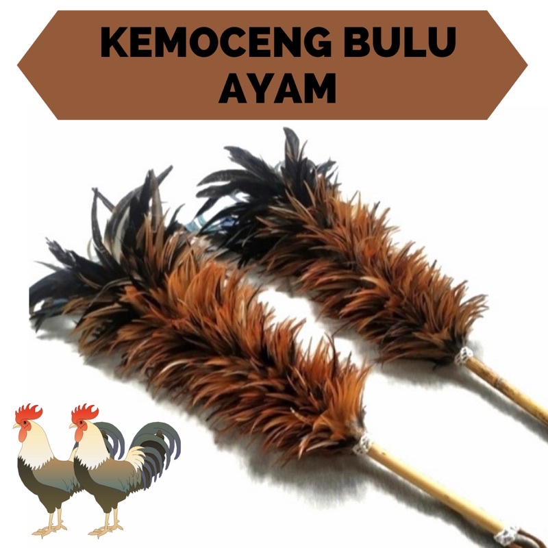 Harga Kemoceng Terbaru Januari 2023 |BigGo Indonesia