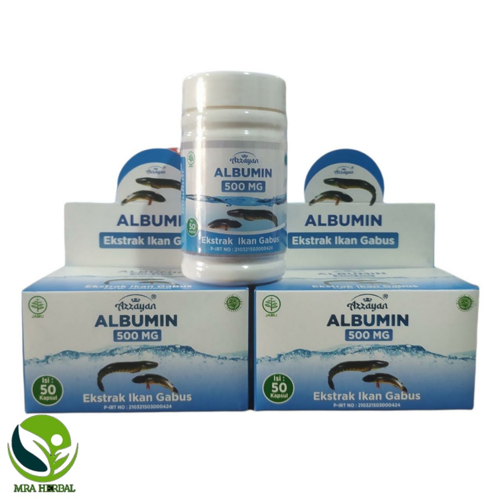 Jual Azzayan Albumin Ekstrak Ikan Gabus / Ikan kutuk | Shopee Indonesia
