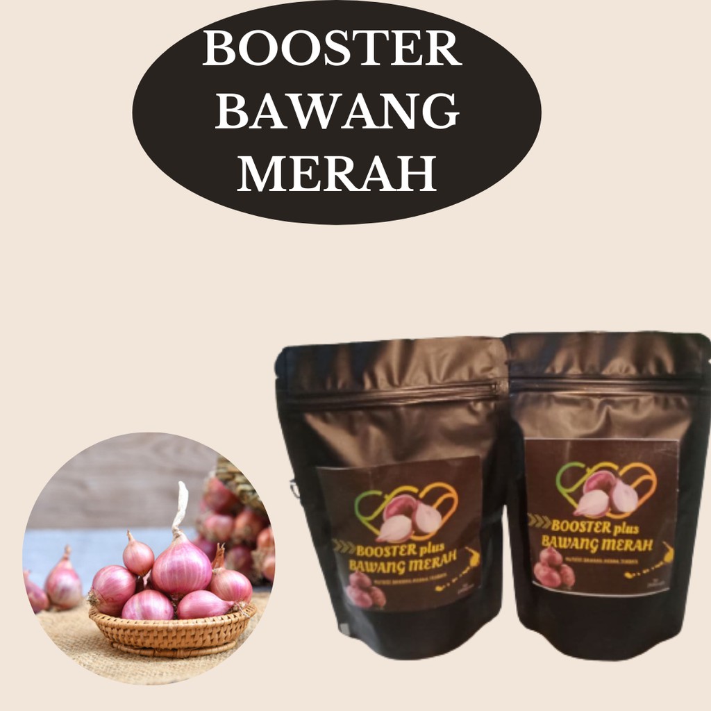 Jual Pupuk Hayati Untuk Bawang Merah, Nutrisi Umbi Bawang Merah Agar ... Jual Pupuk Hayati Untuk Bawang Merah, Nutrisi Umbi Bawang Merah Agar ...