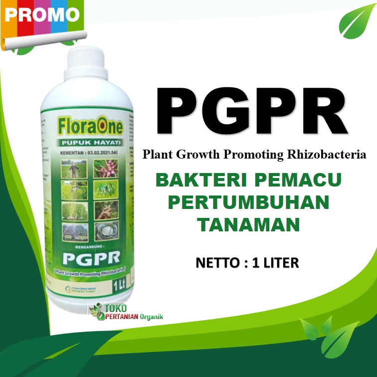 Jual Pupuk Pgpr, Rhizobium Sp Cair, Fungisida Hayati Cair | Shopee ...