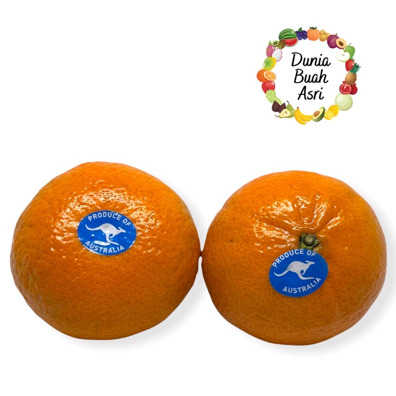 Jual Jeruk Honey Murcot Australi 500gr | Shopee Indonesia