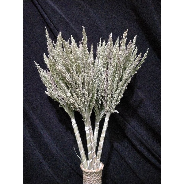 Jual dread flower jawan daun kering | Shopee Indonesia