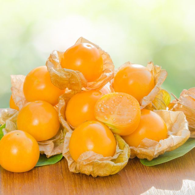 Jual biji benih buah cecenet kuning 30 biji | Shopee Indonesia