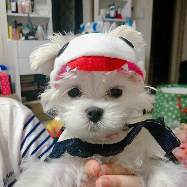 Toko Online waynie | Shopee Indonesia