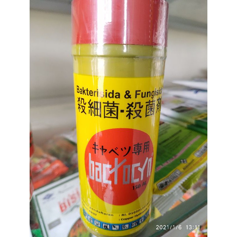 Jual Bactocyn 100 ml | Shopee Indonesia