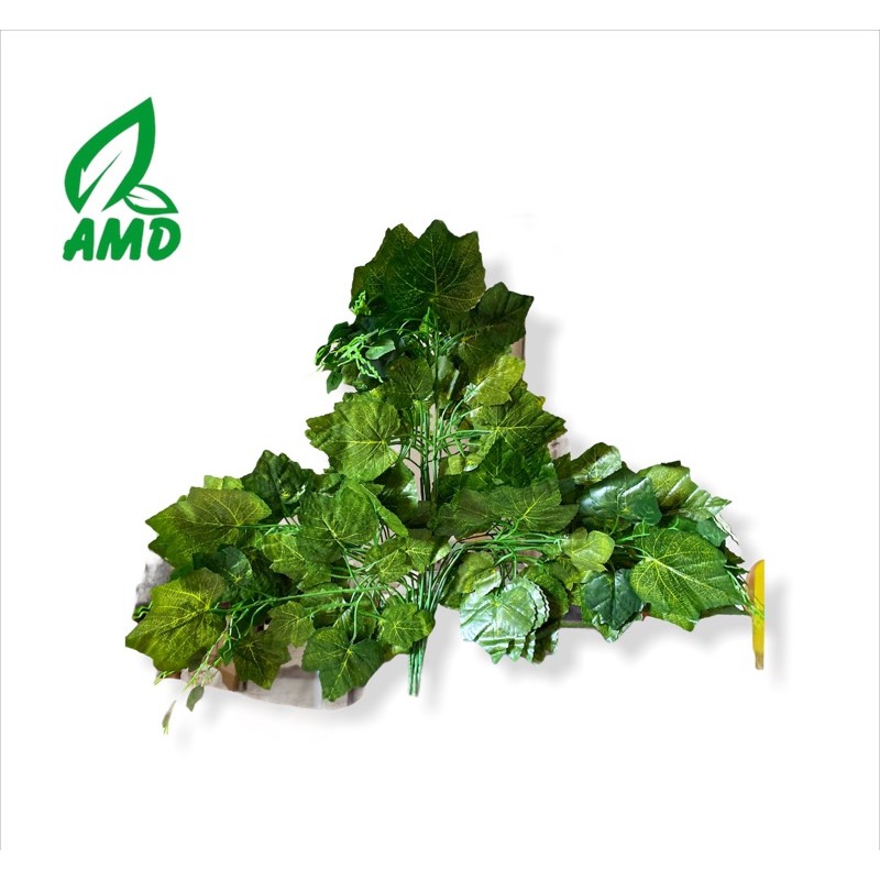 Jual Daun anggur tangkai hijau,putih,emas murah | Shopee Indonesia