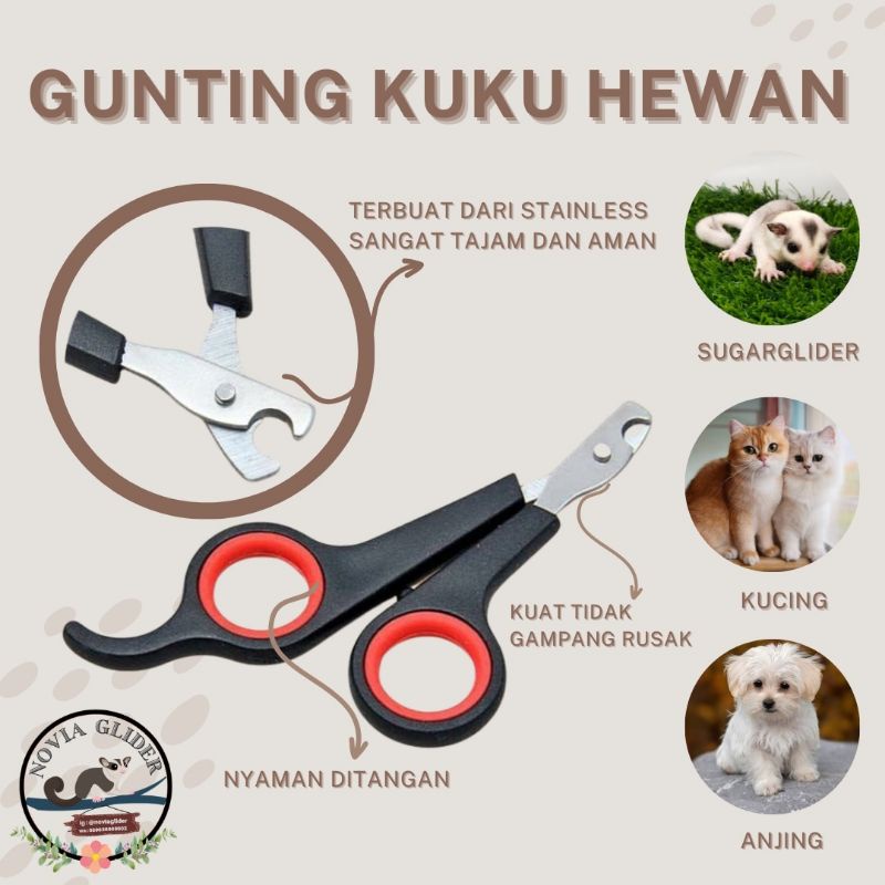Jual Gunting kuku hewan / gunting kuku kucing anjing sugat glider ... Jual Gunting kuku hewan / gunting kuku kucing anjing sugat glider ...
