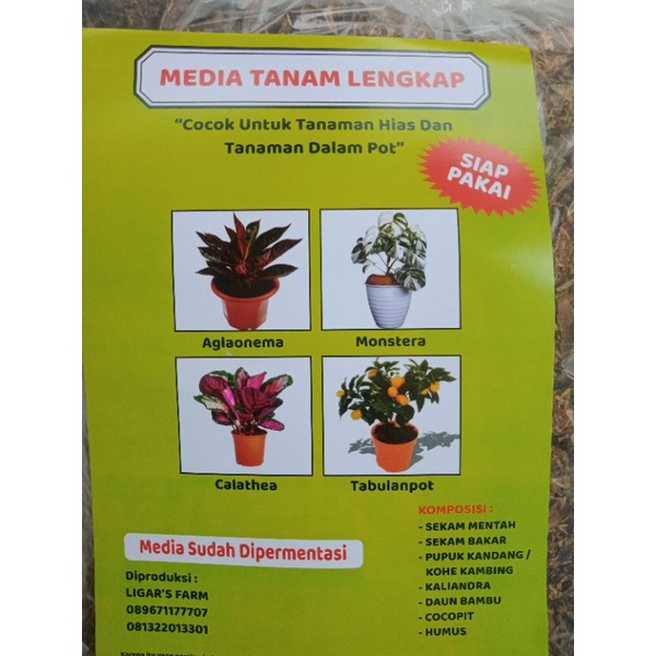 Jual media tanam lengkap siap pakai sudah difermentasi berat 4kg ...