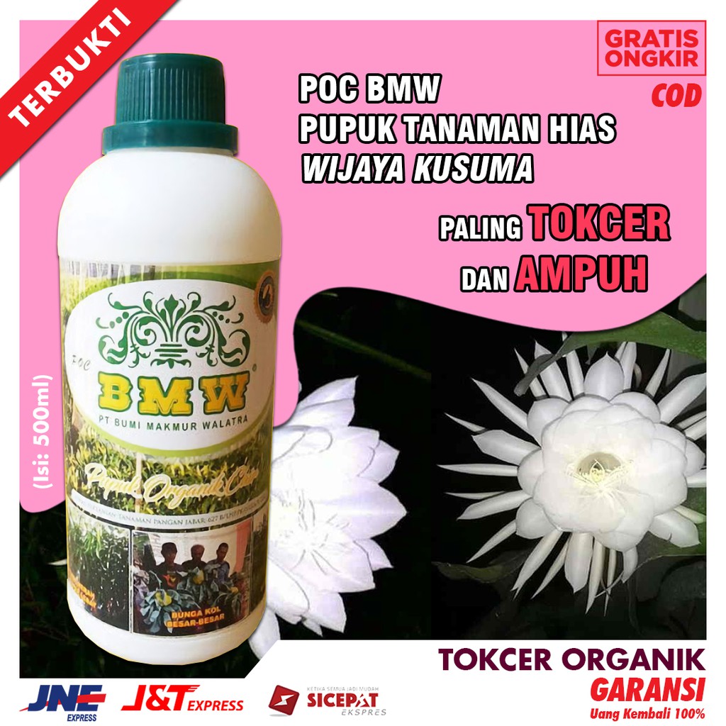 Jual Pupuk Organik Cair Tanaman Perangsang Bunga Wijaya Kusuma POC BMW ...