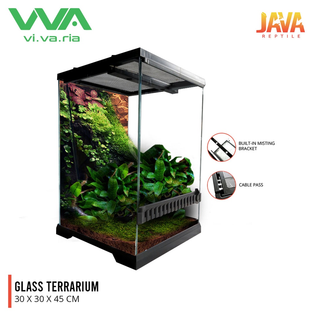 Jual Vivaria Glass Terrarium 30 x 30 x 45 cm Reptil Frog Snake ...