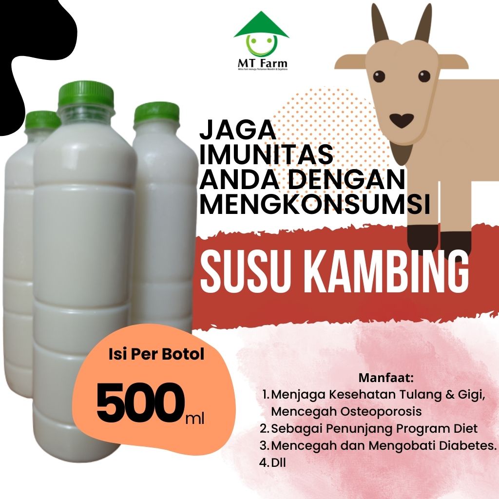 Jual Susu Kambing Murni Susu Kambing Cair Segar Susu Etawa Susu Kefir ... Jual Susu Kambing Murni Susu Kambing Cair Segar Susu Etawa Susu Kefir ...