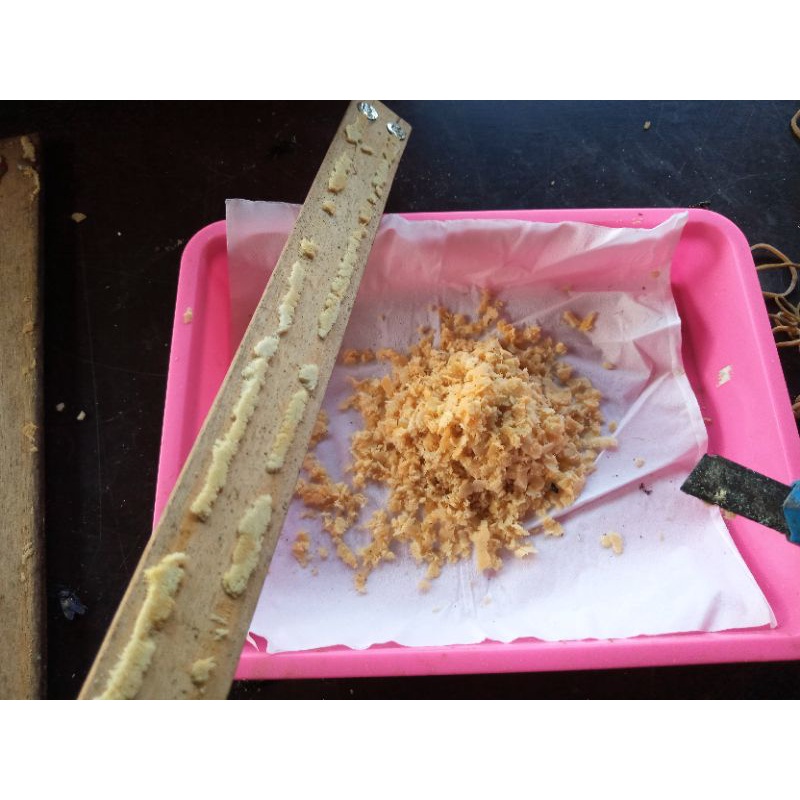 Jual Telur Maggot BSF | Shopee Indonesia