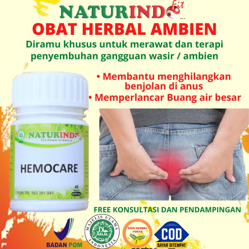 Harga Hemocare Terbaru Juli 2024 |BigGo Indonesia