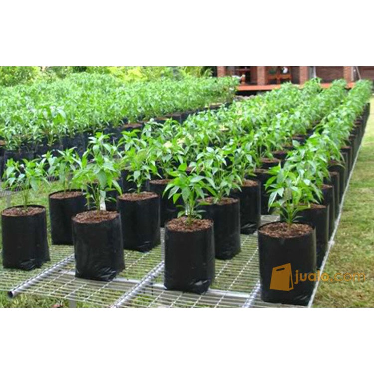 Jual Plastik Polybag Polyback Polibag Polibeg Polibek Tanaman Indonesia ...