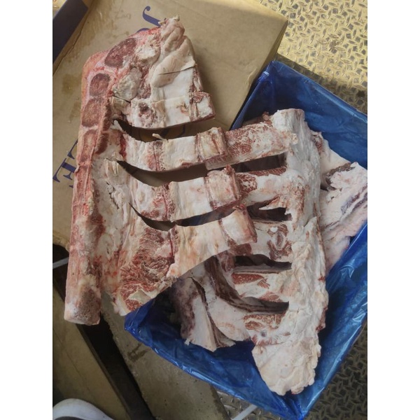 Harga Jando Terbaru Agustus 2024 |BigGo Indonesia