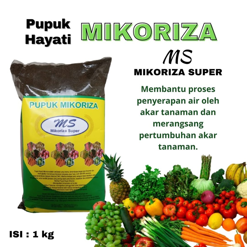 Jual PUPUK HAYATI MIKORIZA I PUPUK PERANGSANG AKAR TANAMAN | Shopee ...