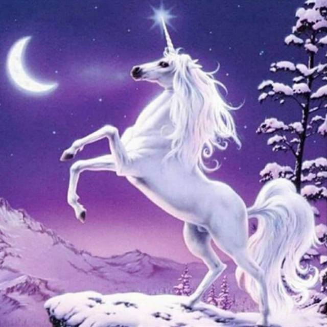 Produk REAL FOAM | Shopee Indonesia