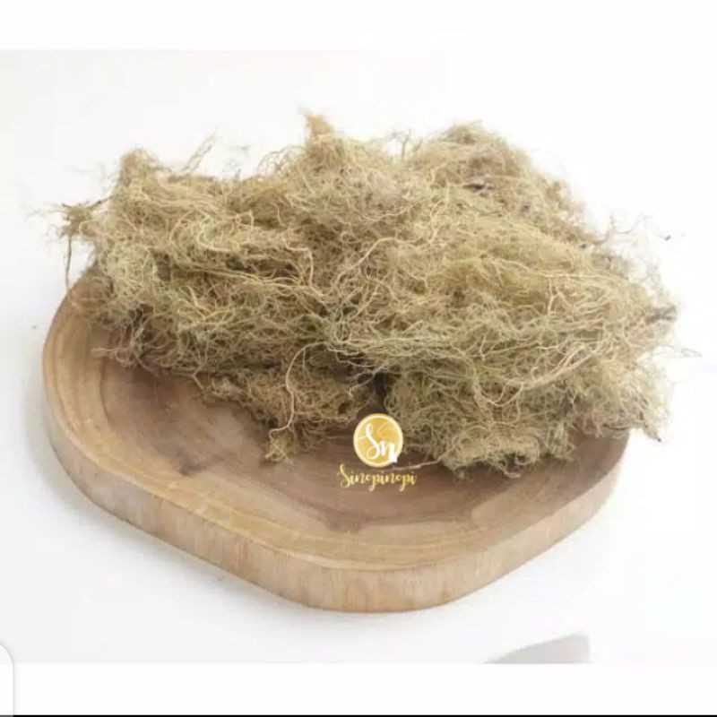 Jual KAYU ANGIN NATURAL | RUMPUT BAHAN KERAJINAN DRIED FLOWER RUSTIC ...