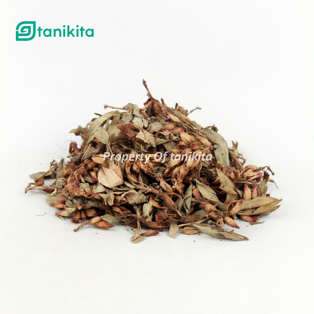 Jual Bunga Sidowayah Kering 1Kg | Shopee Indonesia