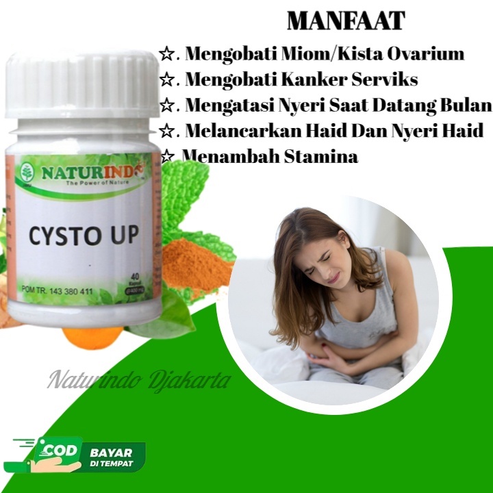 Jual Obat Kista dan Miom Ovarium Obat Herbal Kista Bartholin Obat ...