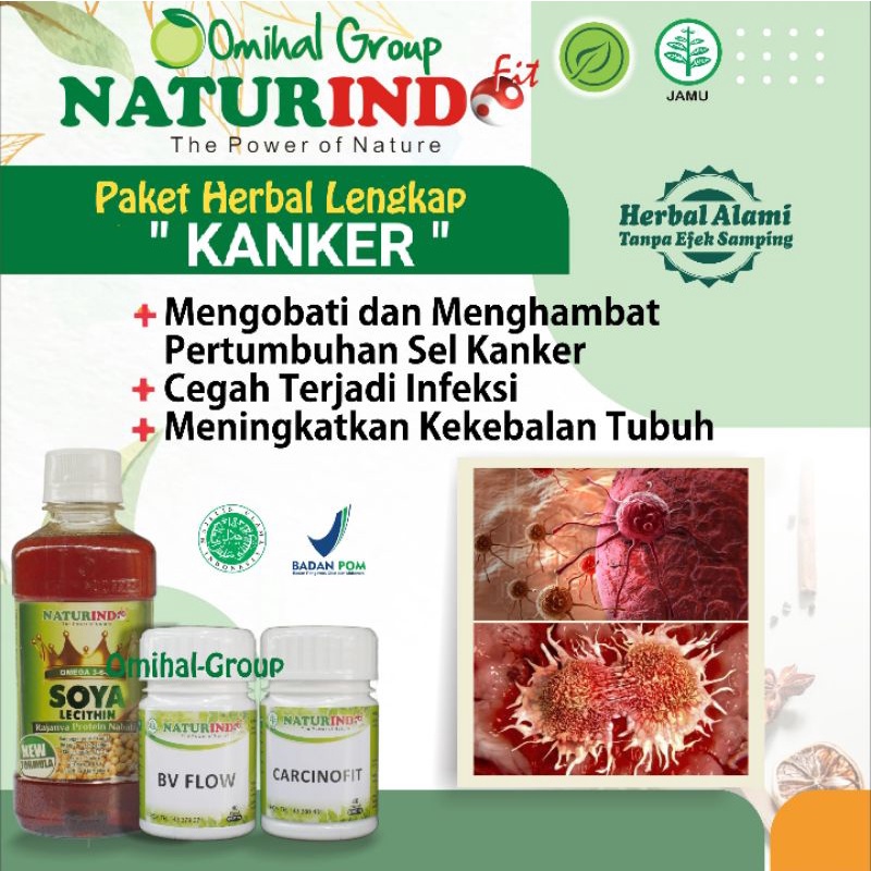 Jual Paket Lengkap Obat KANKER Tanpa Operasi Kemo Herbal Alami ...