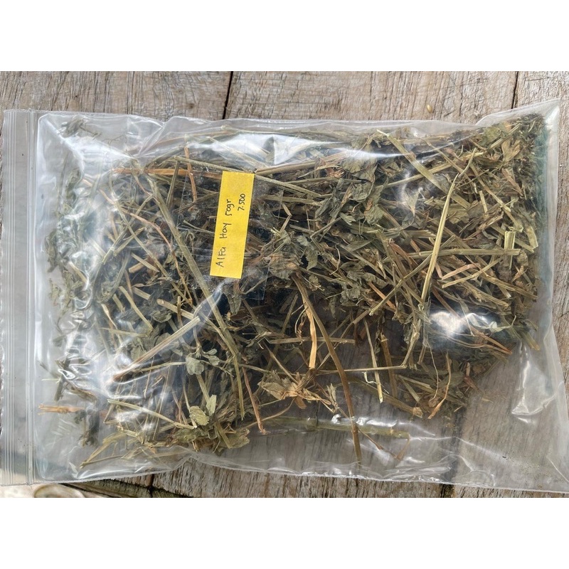Jual Timothy hay dan alfa hay 100gr dr merek frist choice | Shopee ...