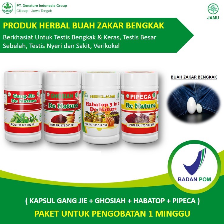 Jual Obat Buah Zakar Bengkak | Testis Bengkak | Biji Peler Bengkak ...