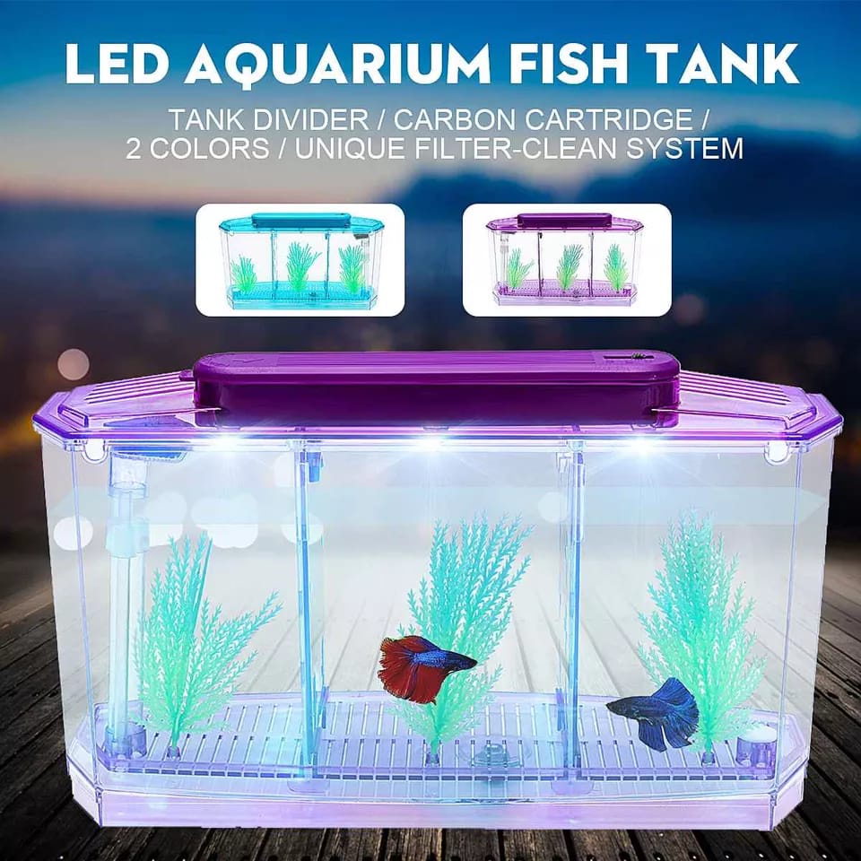 Jual Akuarium Breeding Box LED 3 Sekat Aquarium Ikan Cupang Hias Guppy ...