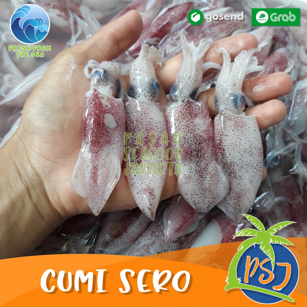Jual Cumi Sero Segar 250 gr /cumi segar/ cumi kecil segar/cumi segar ...
