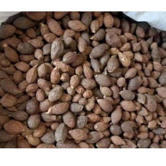 Jual Antehai Tempayang Herbal Ampuh obat batuk dan panas dalam | Shopee ...
