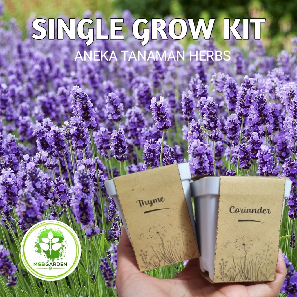 Jual SINGLE GROW KIT SOW EASY PAKET MENANAM MINI - HERBS Indonesia ...