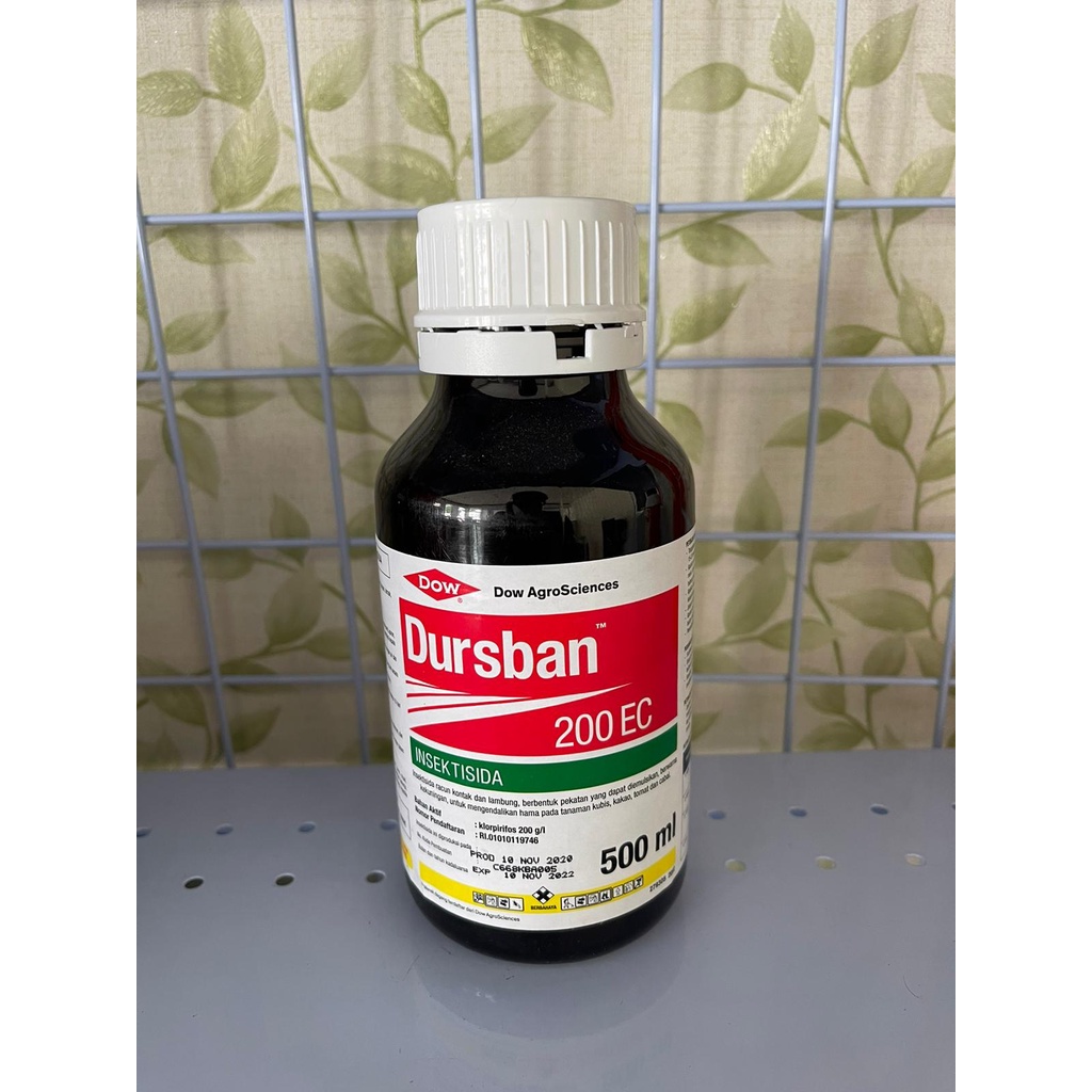 Jual INSEKTISIDA DURSBAN 200 EC | Shopee Indonesia
