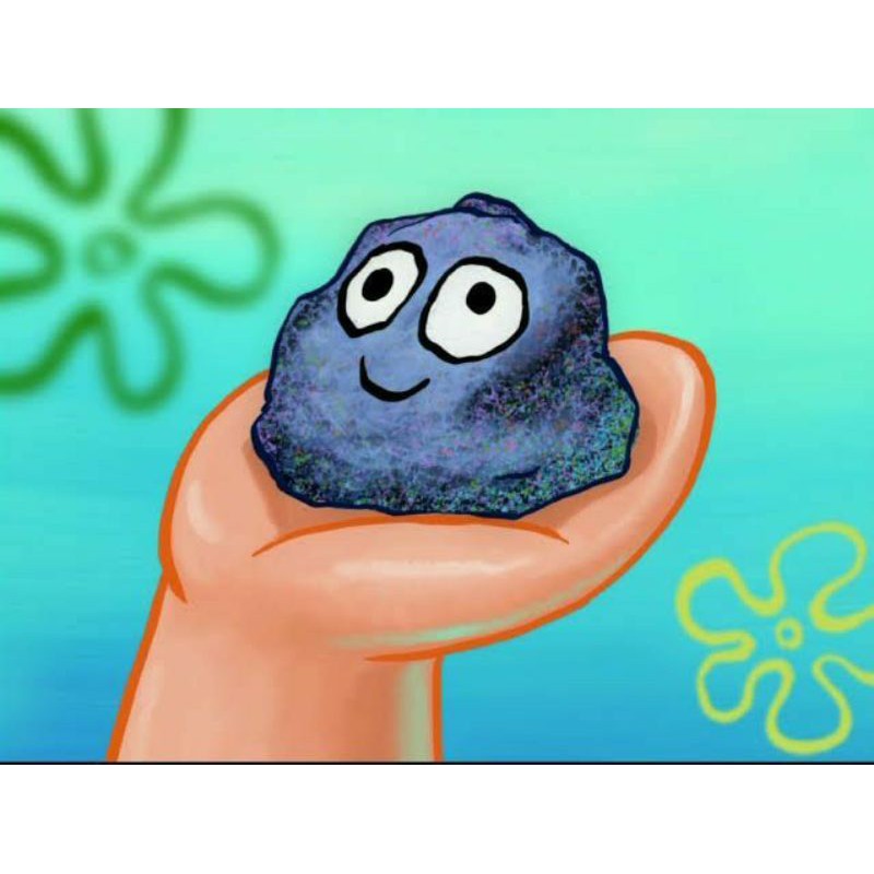 Jual rocky pet rock punya patrick | Shopee Indonesia