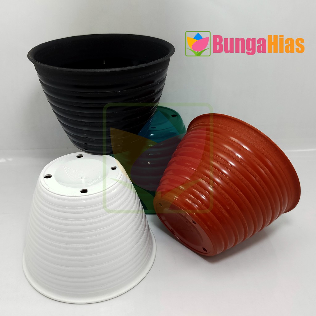 Jual Pot Tawon 15 Cm Bunga Dan Tanaman | Shopee Indonesia