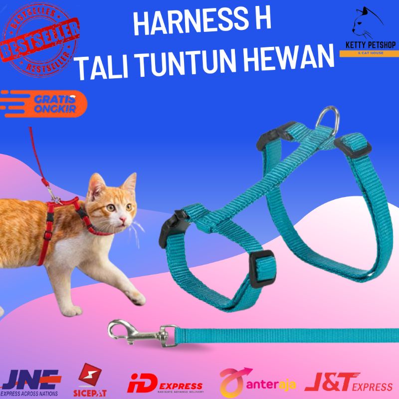Jual HARNESS H / HARNES KUCING MUSANG KELINCI / TALI TUNTUN HEWAN ...