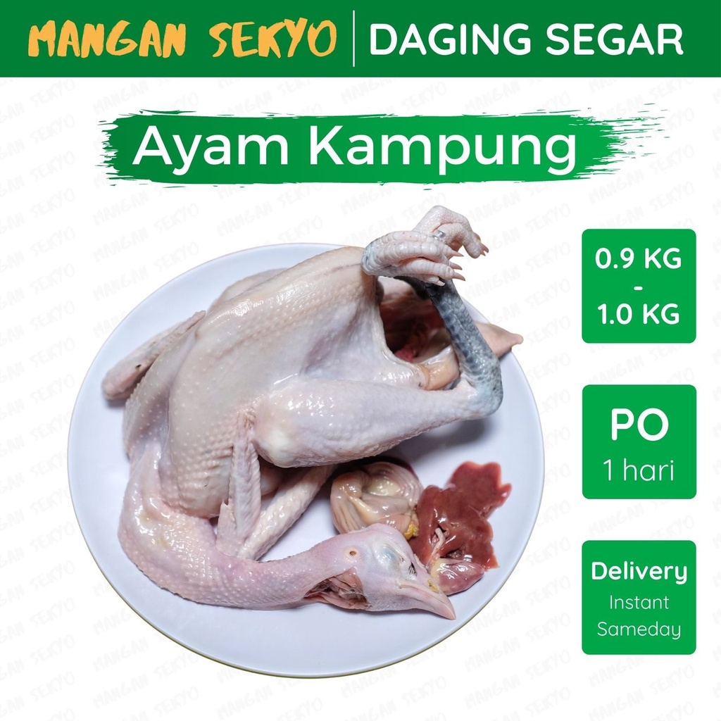 Jual Ayam Kampung Segar / Ayam Kampung Fresh | Shopee Indonesia