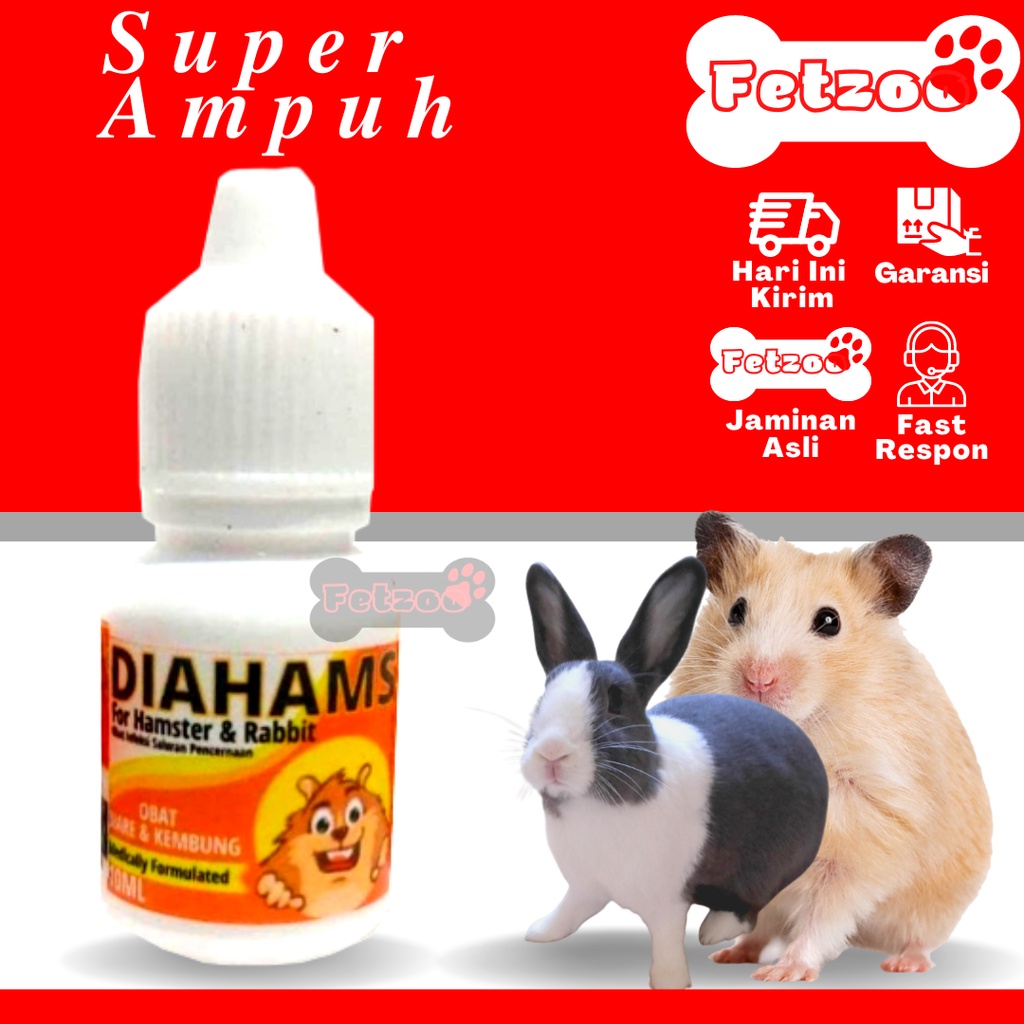 Jual Obat Diare Hamster Obat Diare Kelinci Obat Mencret Kelinci Hamster ... Jual Obat Diare Hamster Obat Diare Kelinci Obat Mencret Kelinci Hamster ...