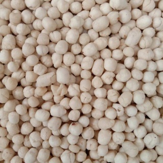 Jual Pilus Cikur Kencur Snack Jadul Cemilan 250 gram | Shopee Indonesia