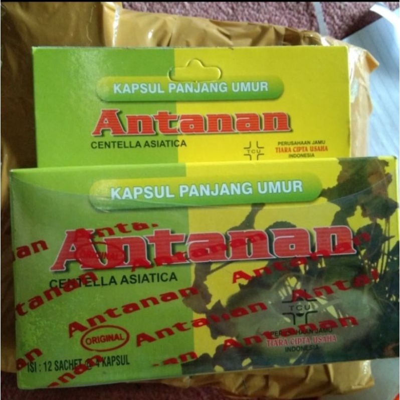PERBEDAAN JAMU ANTANAN ASLI DAN PALSU