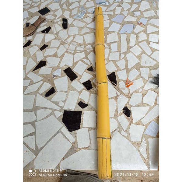Jual paket bambu kuning patok panjang 100, cm | Shopee Indonesia