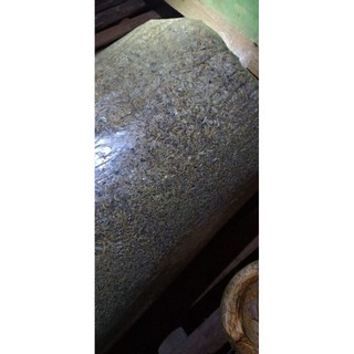 Jual IKAN-RUCAH Indonesia|Shopee Indonesia